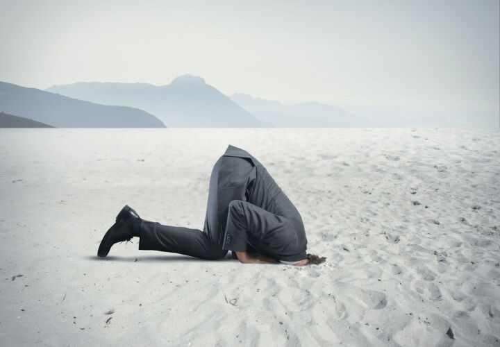 PhD | UNC Kenan-Flagler Business School